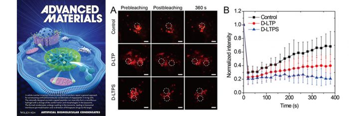 HMWang Lab - Laboratory for Functional Molecular Materials | Home