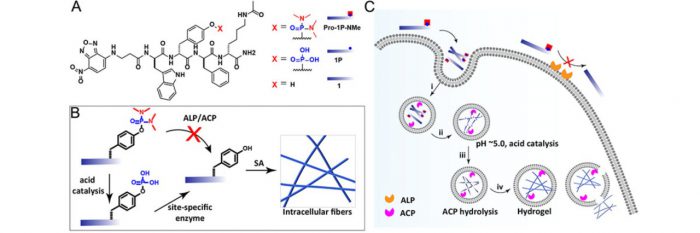 Laboratory for Functional Molecular Materials | HMWang Lab